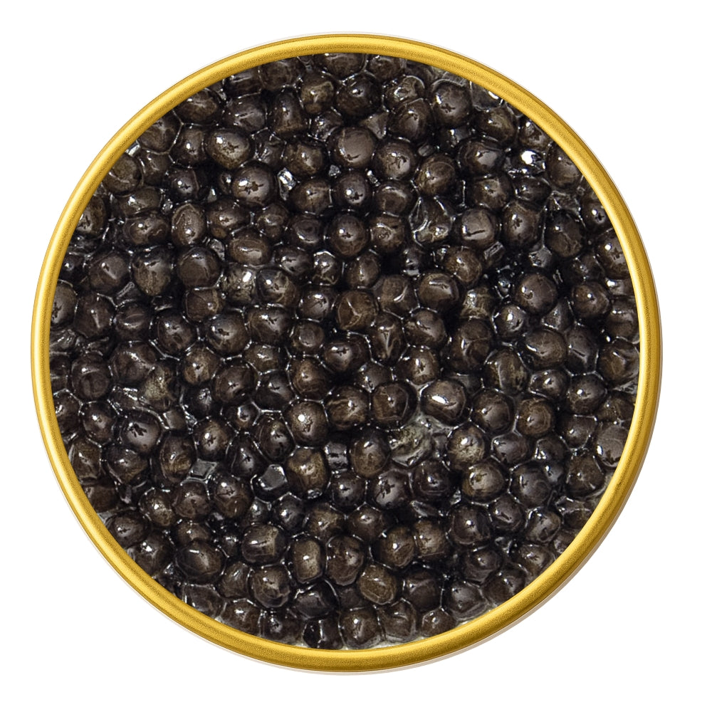 Beluga Sturgeon Premium Black Caviar - Huso Huso & Acipenser Ruthenus ...